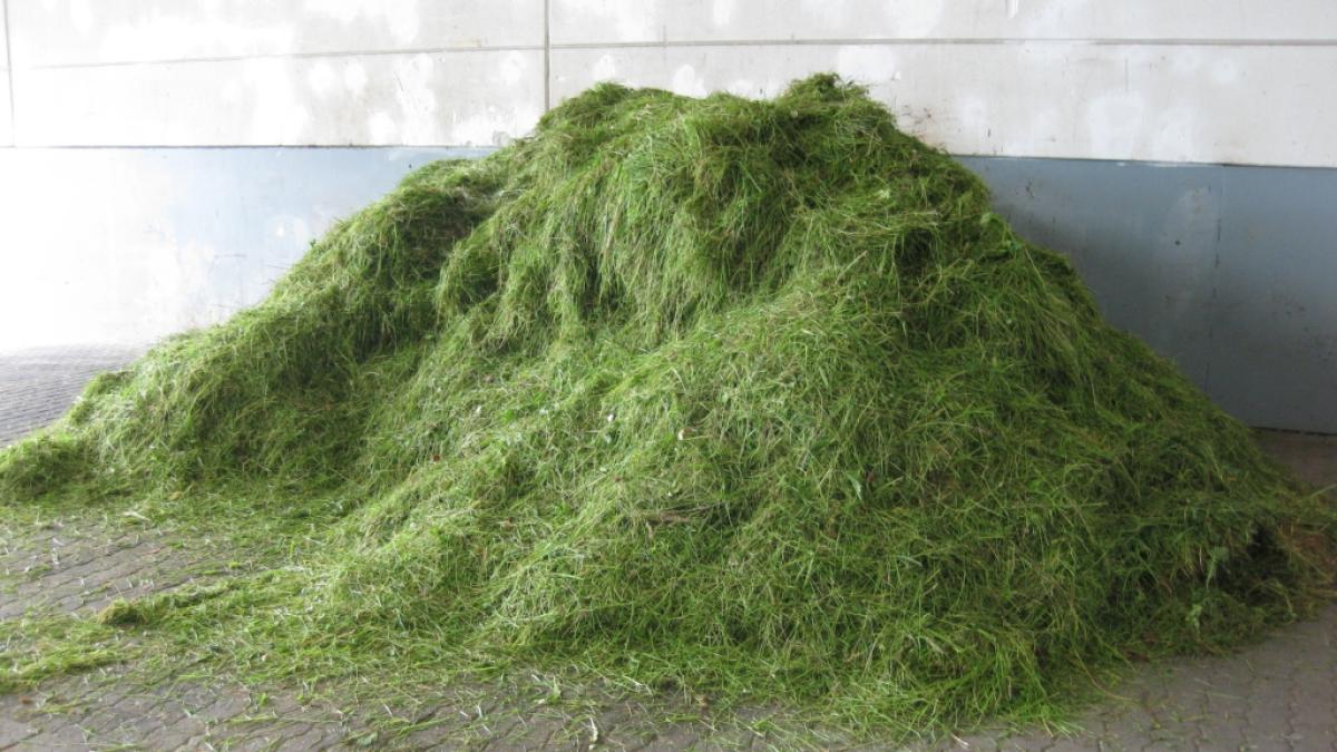 Biomass | Vecoplan