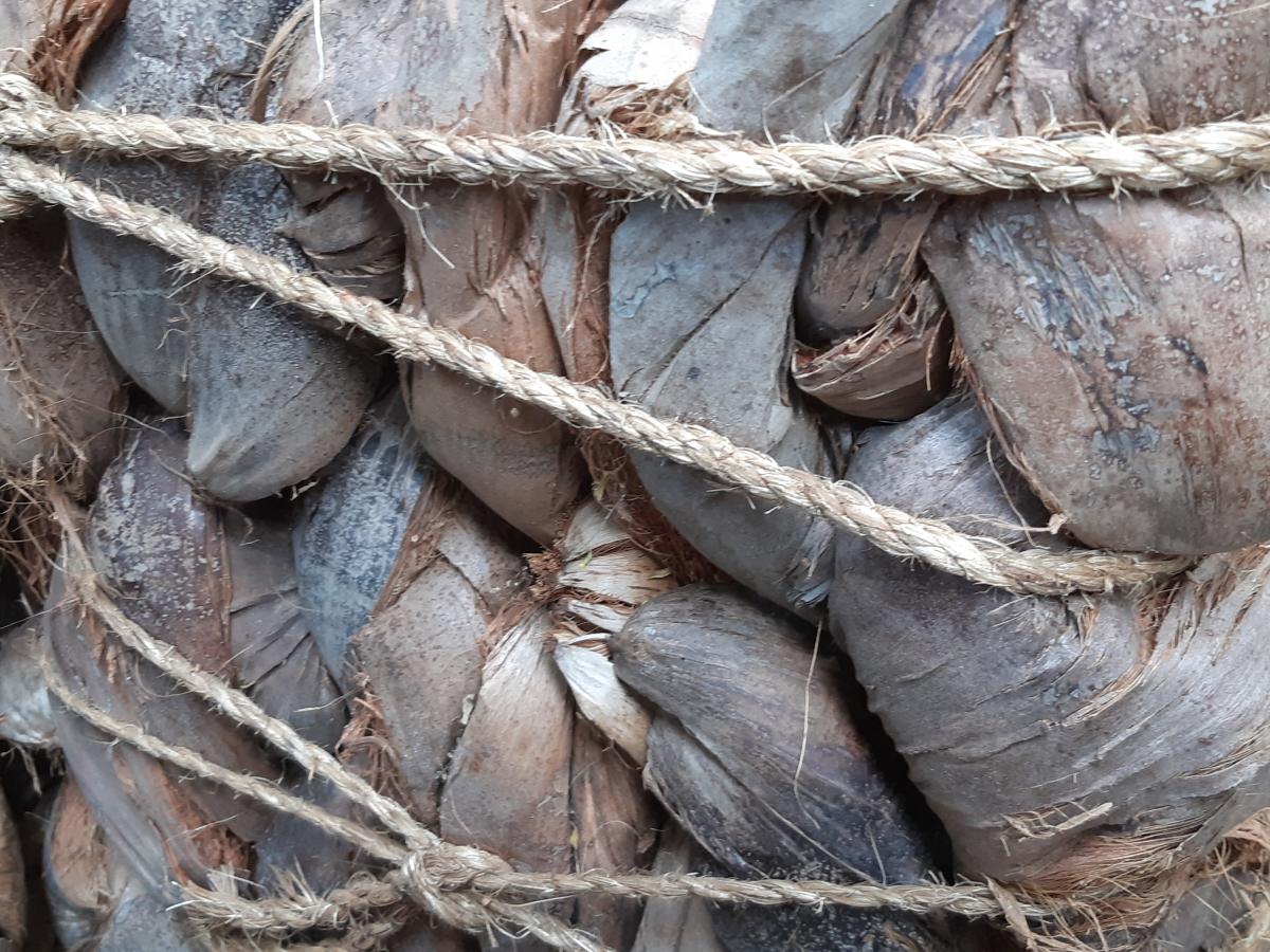 Coconut shells | Vecoplan