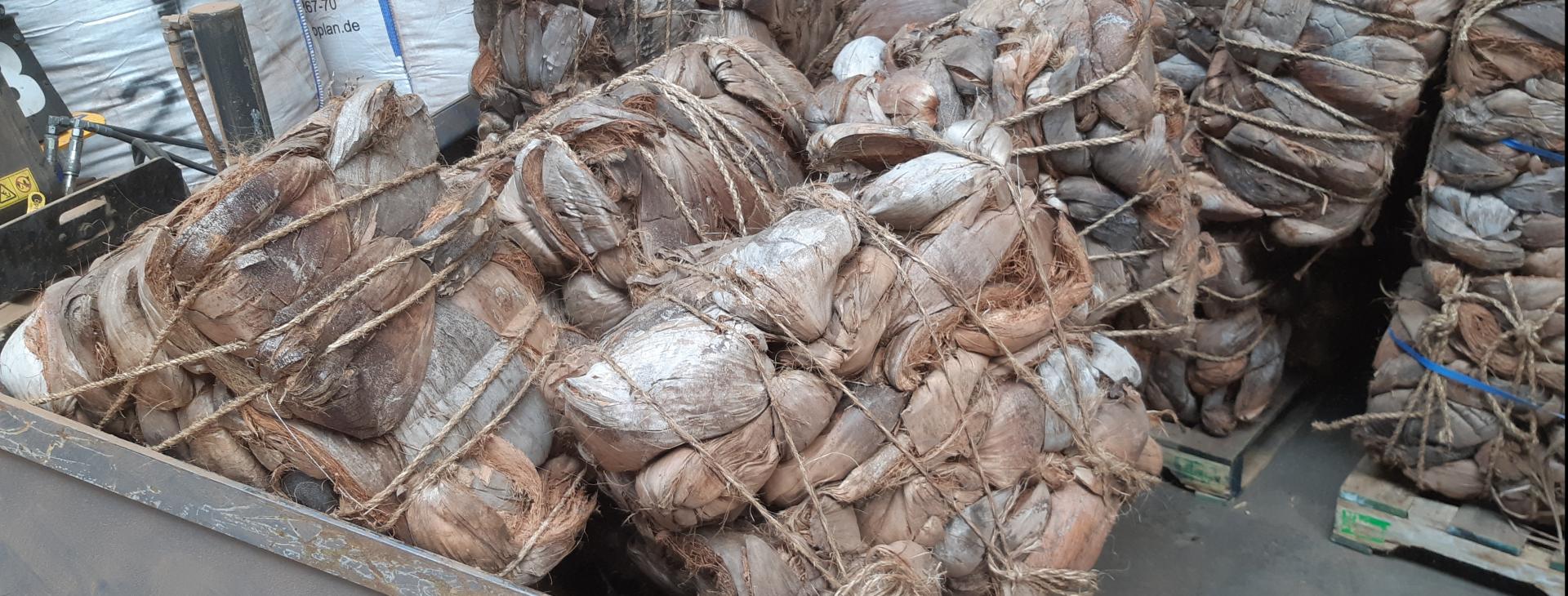Coconut Shells Bulk